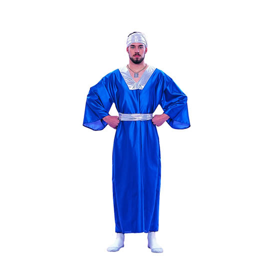 Wiseman Costume Adult Standard | Free Shipping