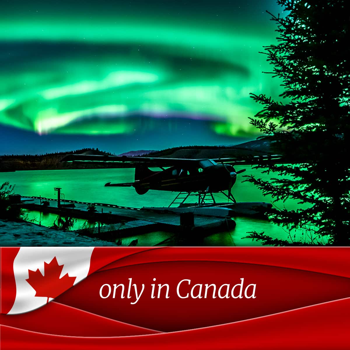 Only In Canada - Williams Food Equipment