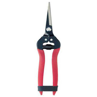 AG4930 Corona Snips - BishCo.com