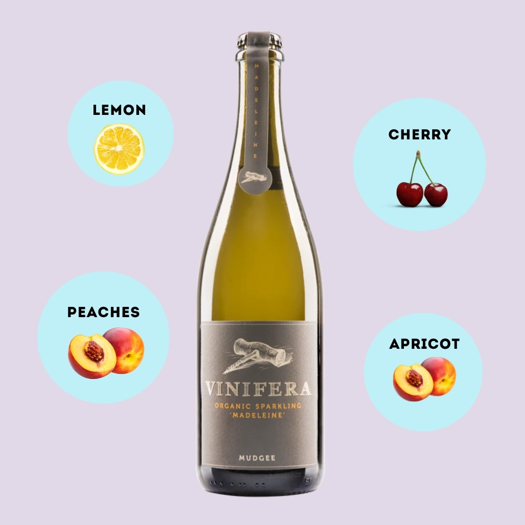 Vinifera (Organic) Sparkling Madeleine 2021 - Boutique Wine - Buy Wine ...