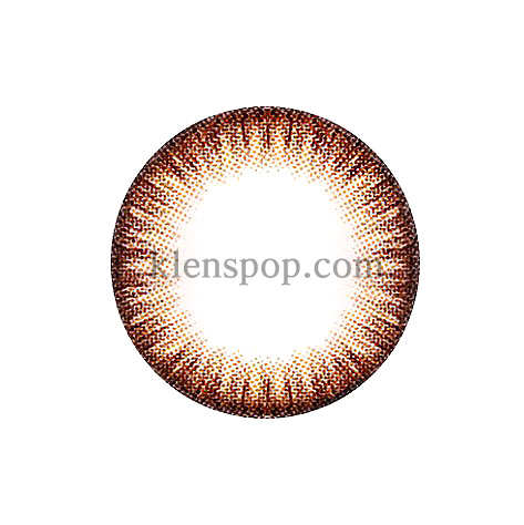 SCL 25 Brown (Toric Lens) (2pcs) Colour Contact Lenses