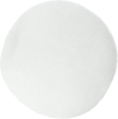 Charcoal Canister Filter Replacement