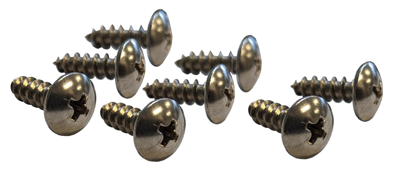 Tailgate Hinge Cover Plate Screw Kit