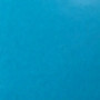 AMC Metallic Blue Engine Paint