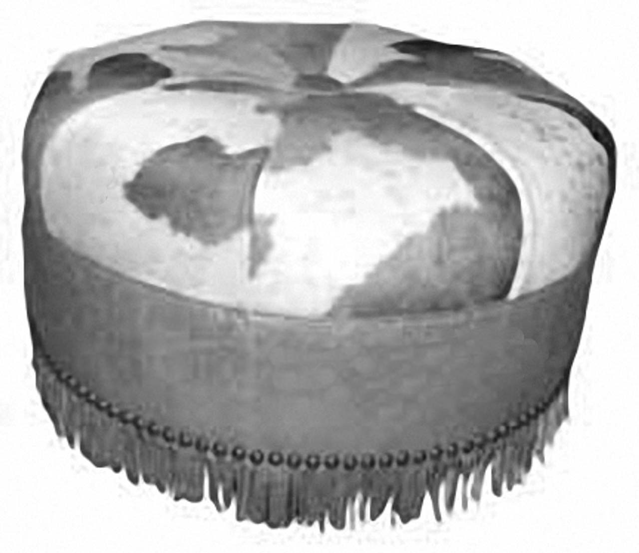Custom Cowhide Ottoman with fringe