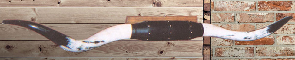 Mounted Bull Horns