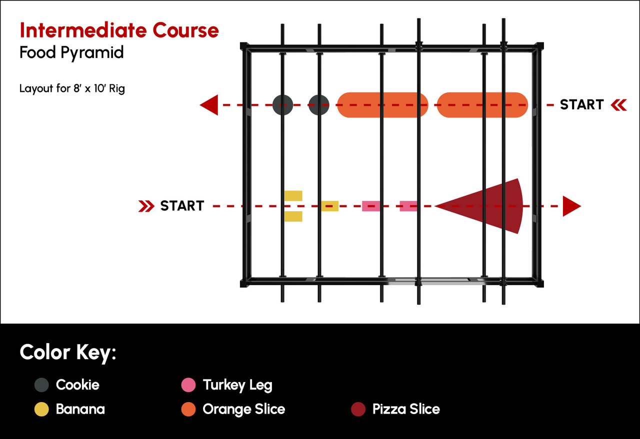 Collections - Ninja Courses - Intermediate Course: Food Pyramid - DGS Ninja