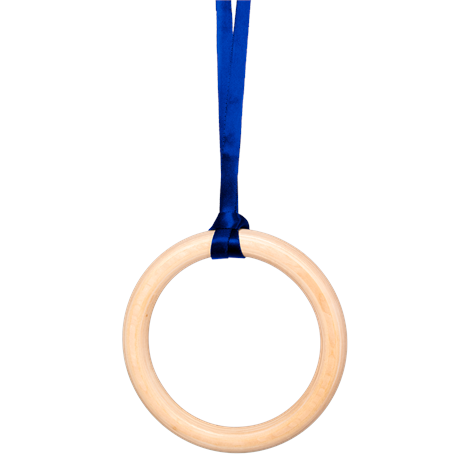 Ninja Rings for Ninja Warrior Training | DGS Ninja