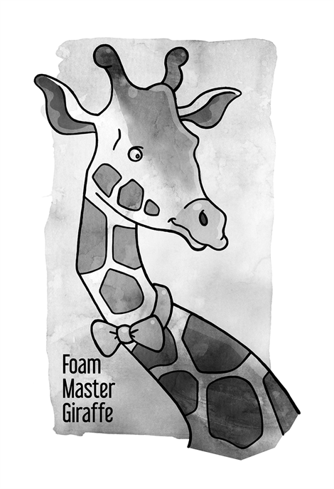 The Nation of Foamation by Nona Kinderknecht - Deary's Gymnastics Supply