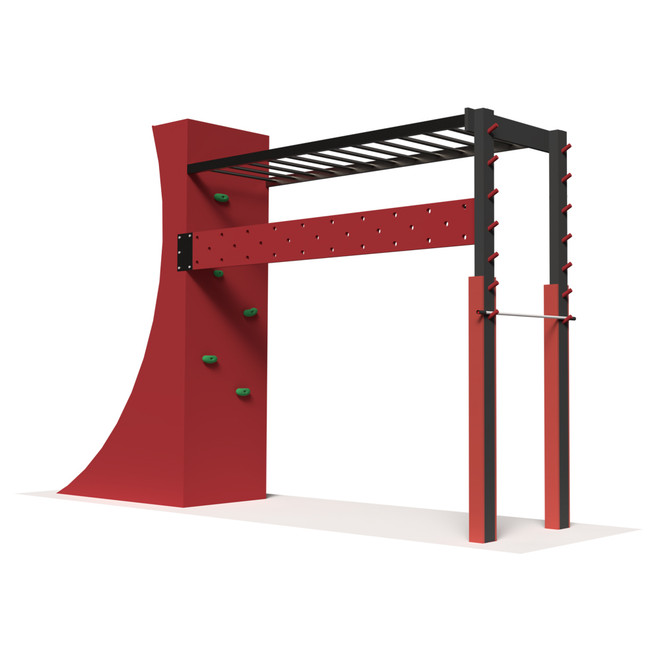 Ninja Basic Rig