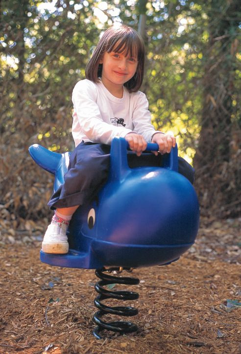 Whale Spring Rider - AchillionSports