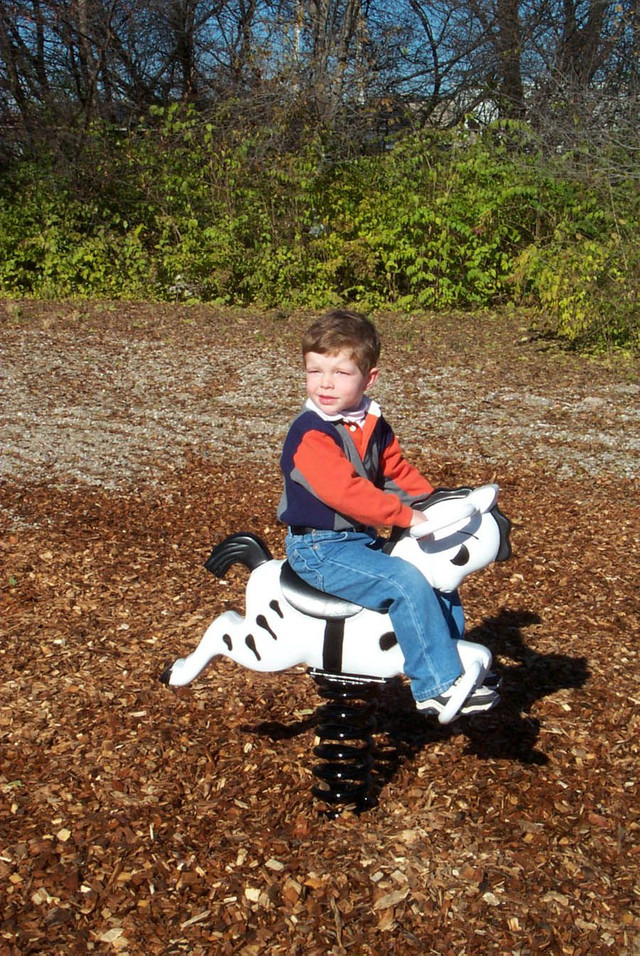 Spring Riders Playground Equipment for Sale | Achillion Sports