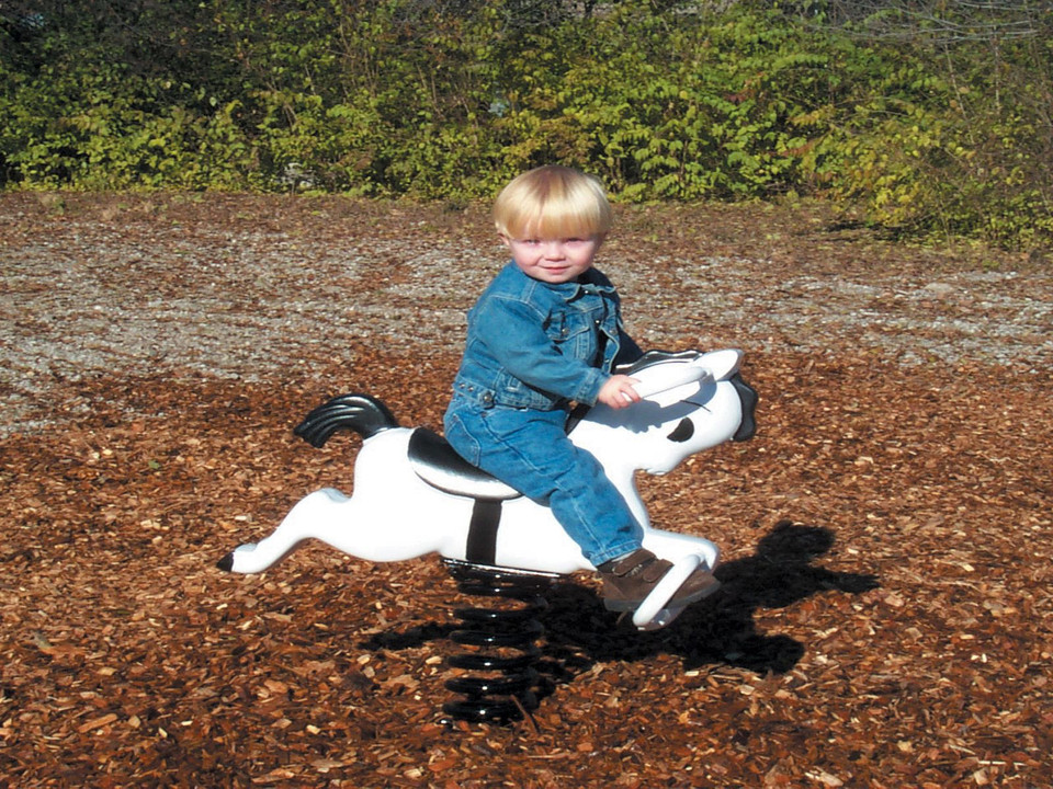 Spring Riders Playground Equipment for Sale | Achillion Sports