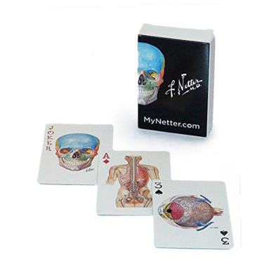 Netter / Netter's Anatomy Playing Cards - WesternU Campus Store