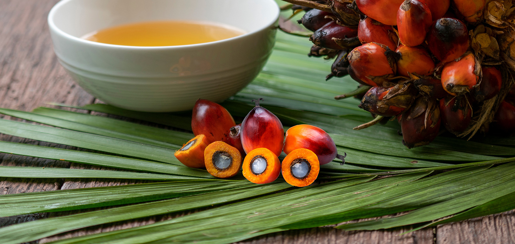 Things To Know About Palm Oil - Baudelaire