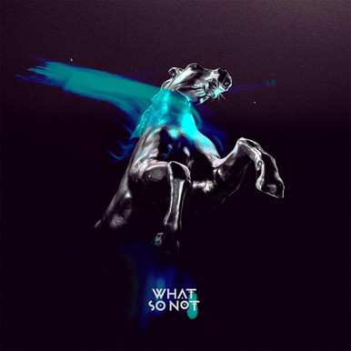 What So Not - Not All The Beautiful Things (2LP) Vinyl Record