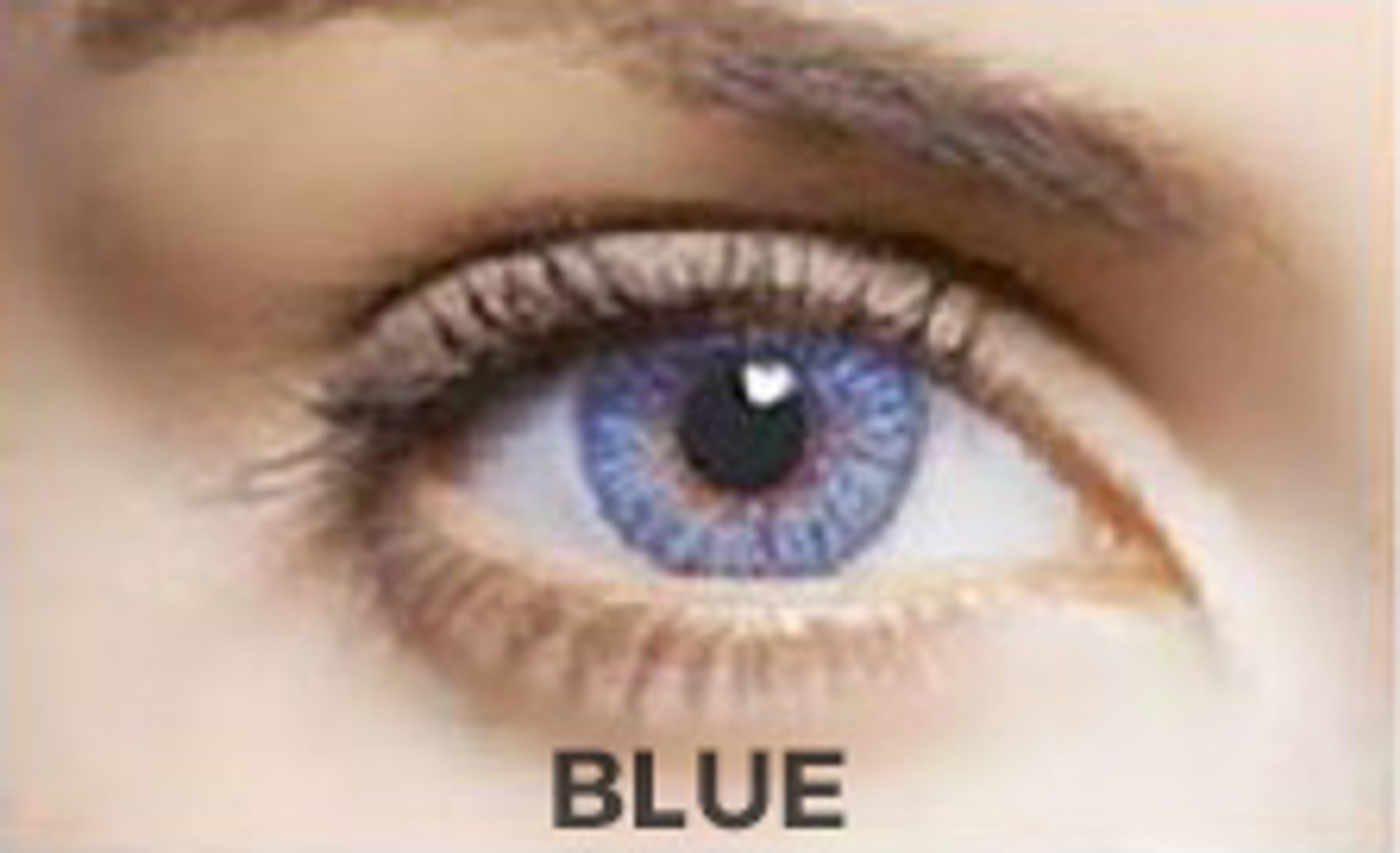 Freshlook Colors colored contact lenses - Vision Marketplace
