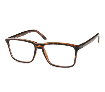 Modena Turtle – Wayfarer Eyeglasses | Vision Marketplace