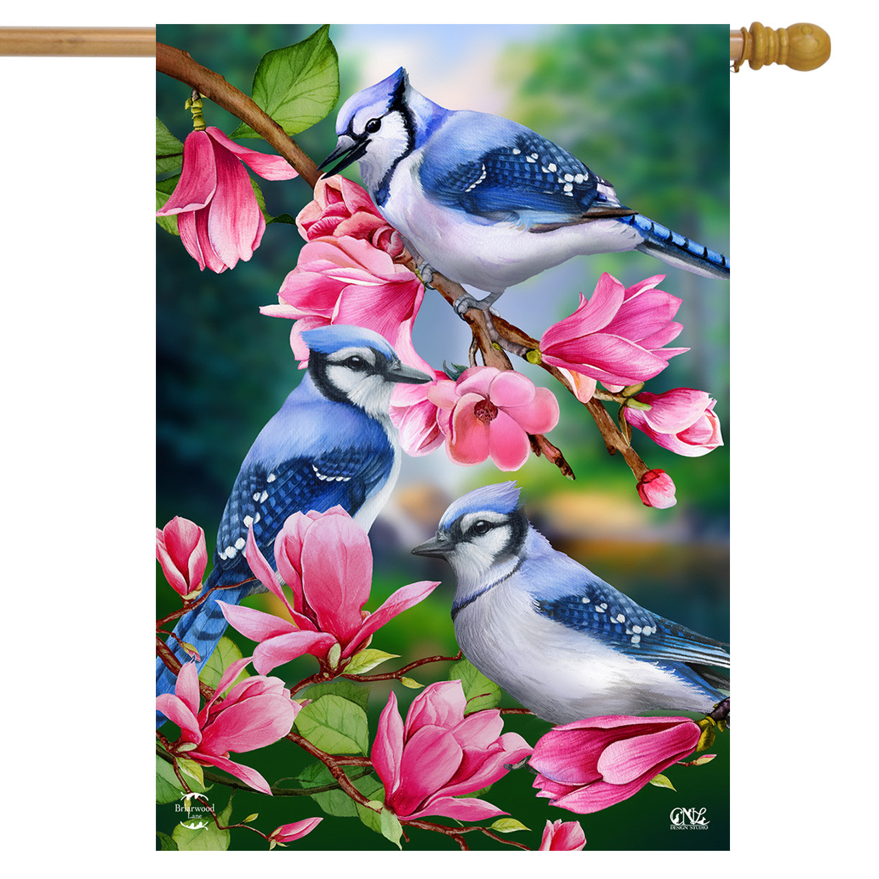 Blue Jay Trio Spring House Flag - Briarwood Lane