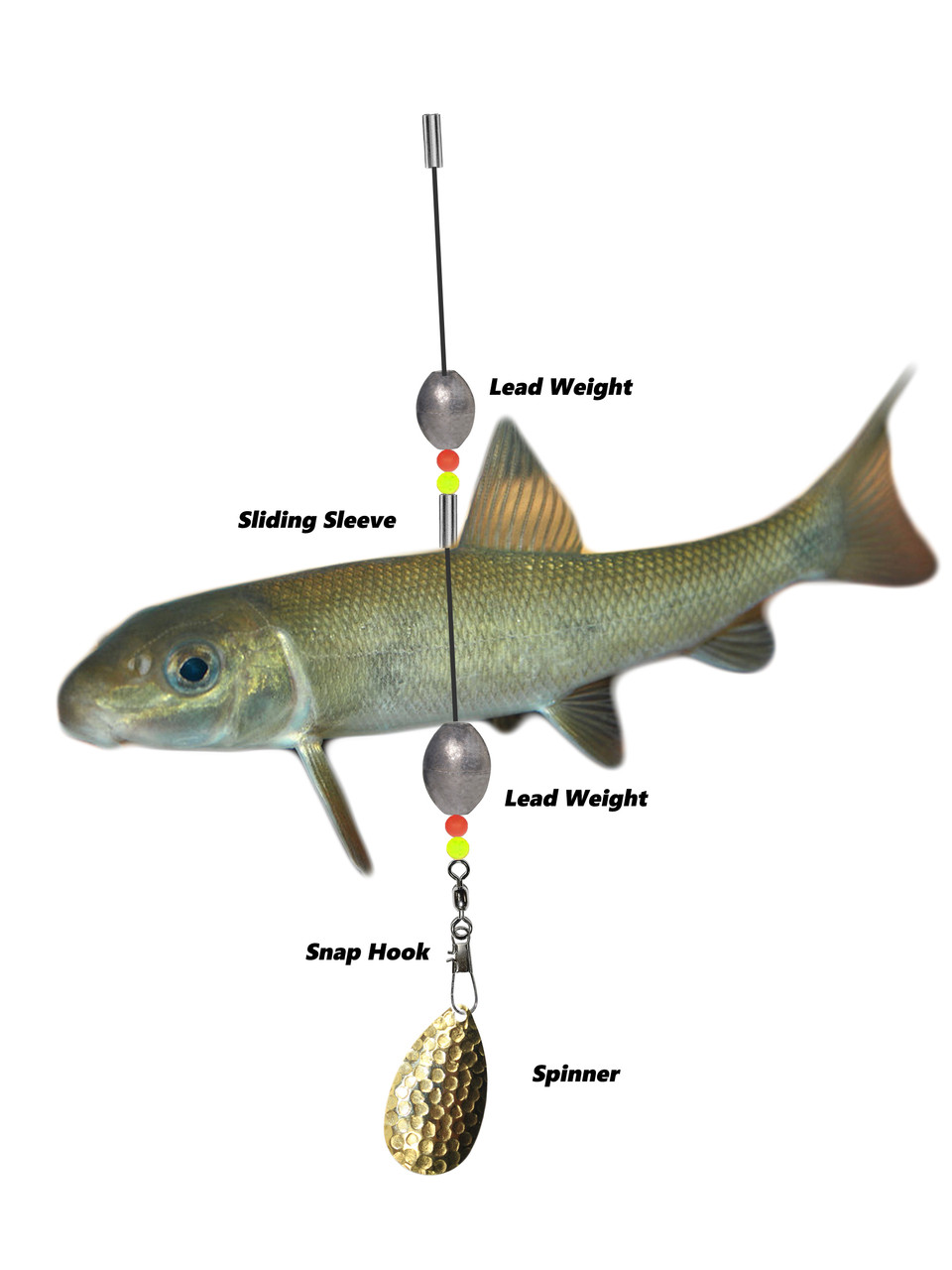 minnow harness 1 per pack