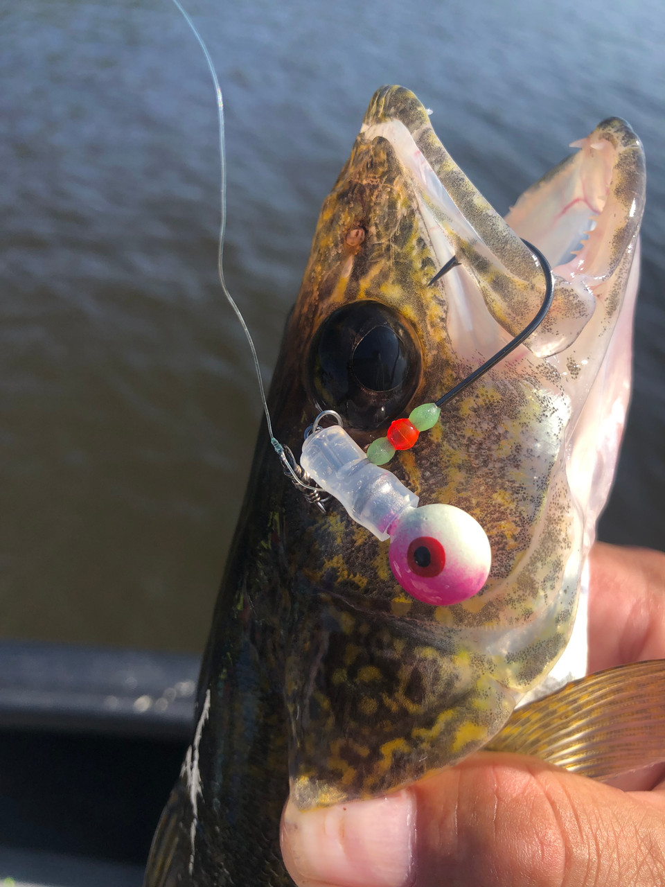 Quick Swap jig heads - 6 solid colors