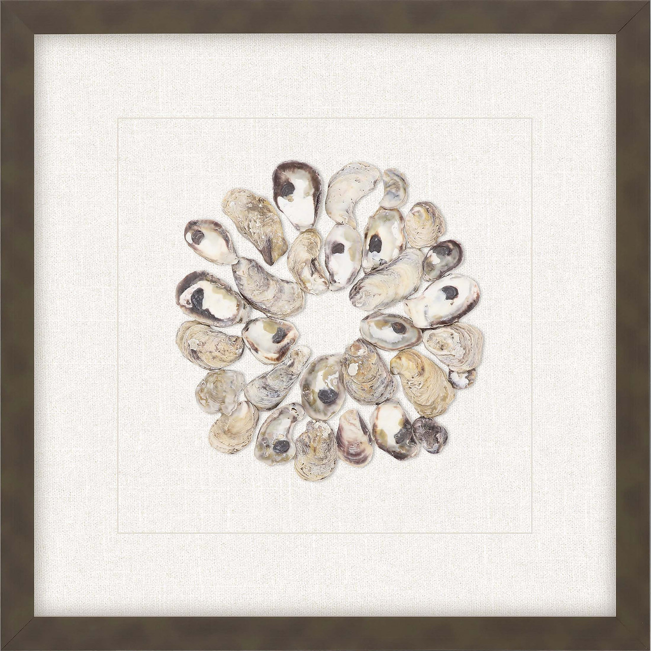 Natural Shells Framed Coastal Wall Art Decor - Simply Gorgeous