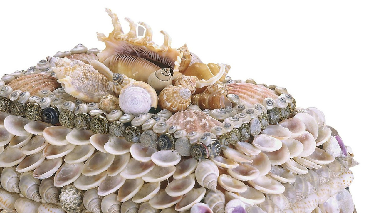Shop Our Chic Natural Shell Encrusted Mermaid Jewelry Box