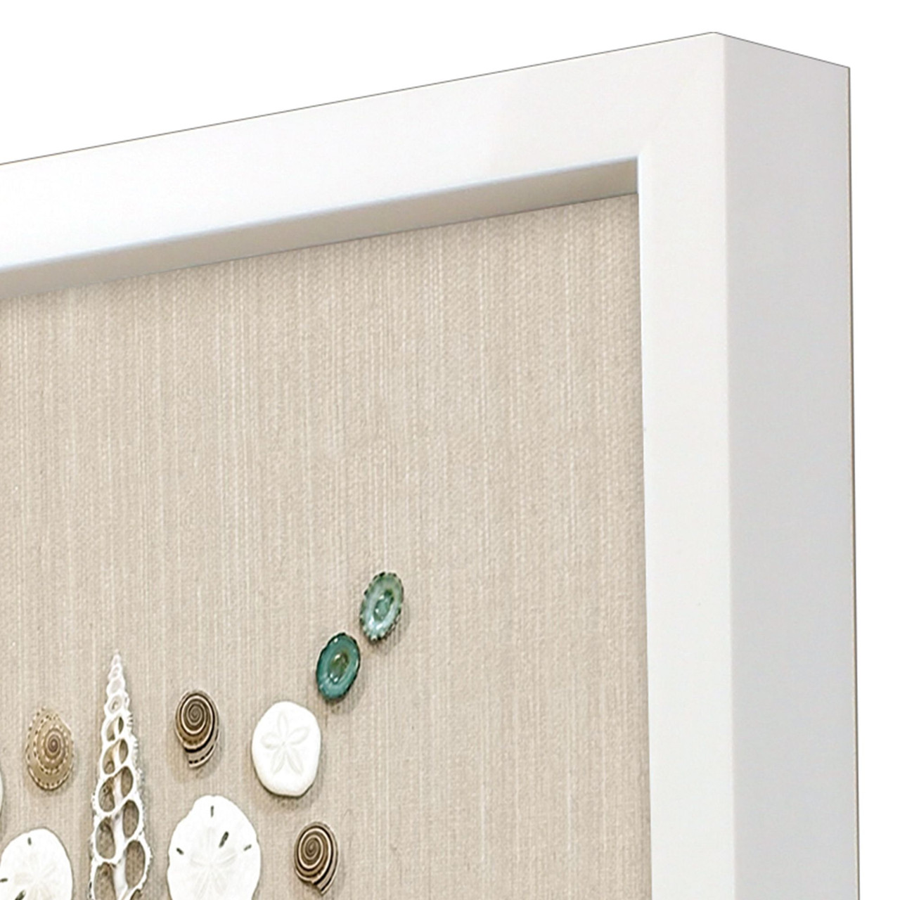 Caparazon Shell Art Collage I - Natural Shell Shadowbox Display