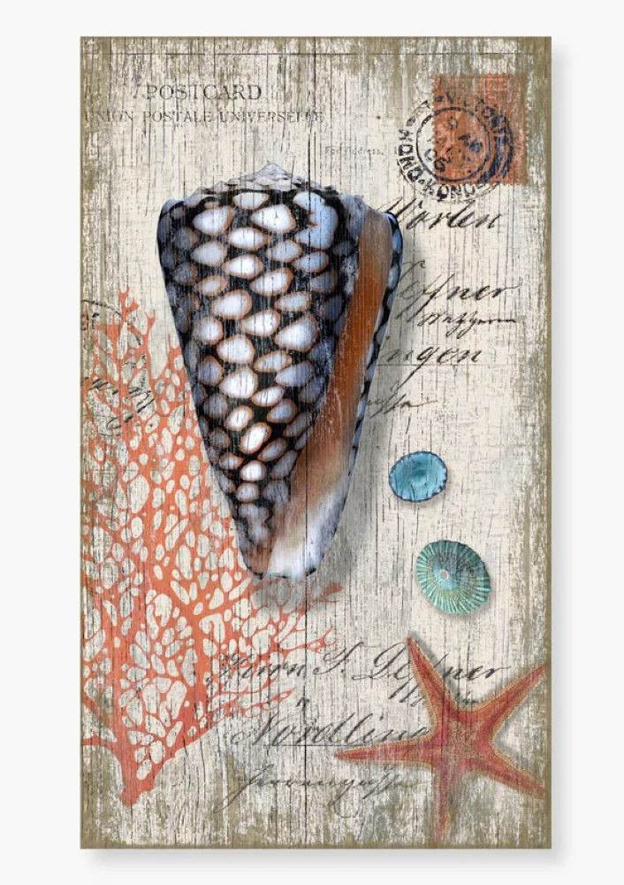 Vintage Cone Shell Wall Art | Caron's Beach House