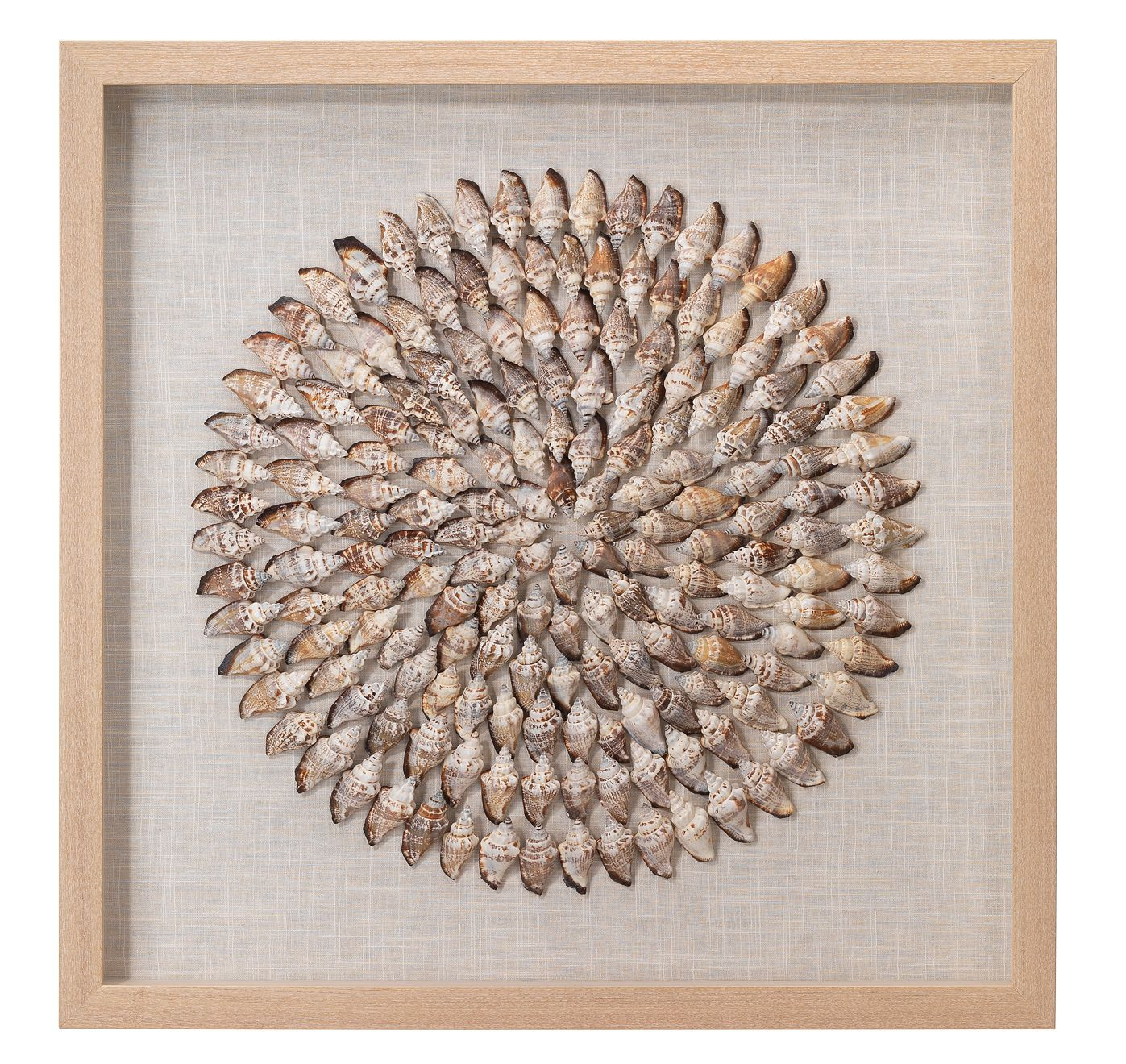 Rustic Seahorse and Shells Wall Art | Caron's Beach House