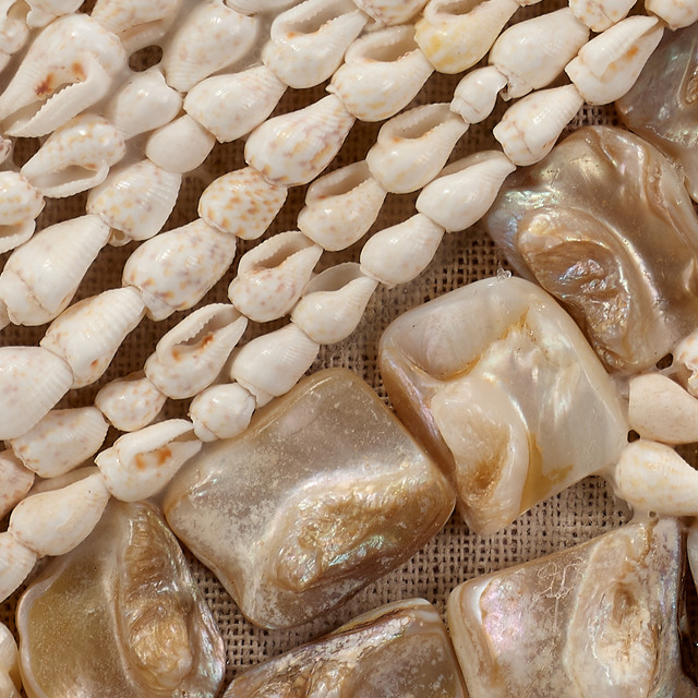 Natural Shells Framed Coastal Wall Art Decor - Simply Gorgeous