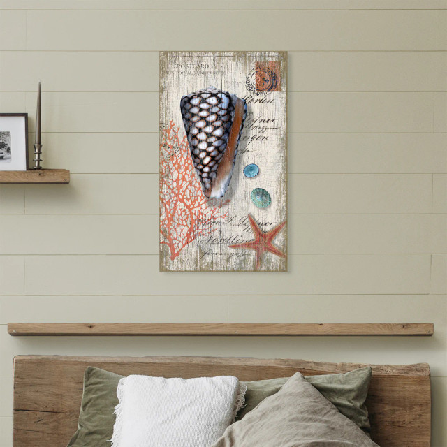 Vintage Cone Shell Wall Art | Caron's Beach House
