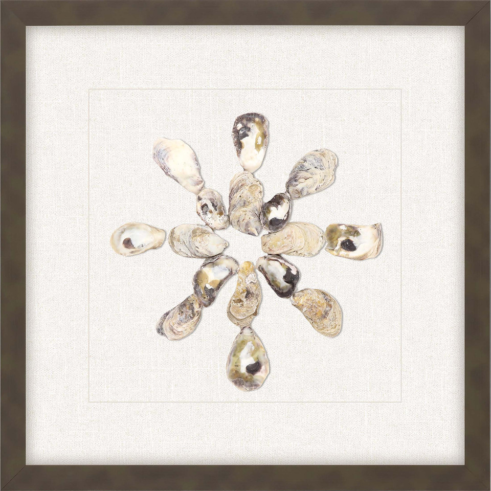 Natural Shells Framed Coastal Wall Art Decor - Simply Gorgeous