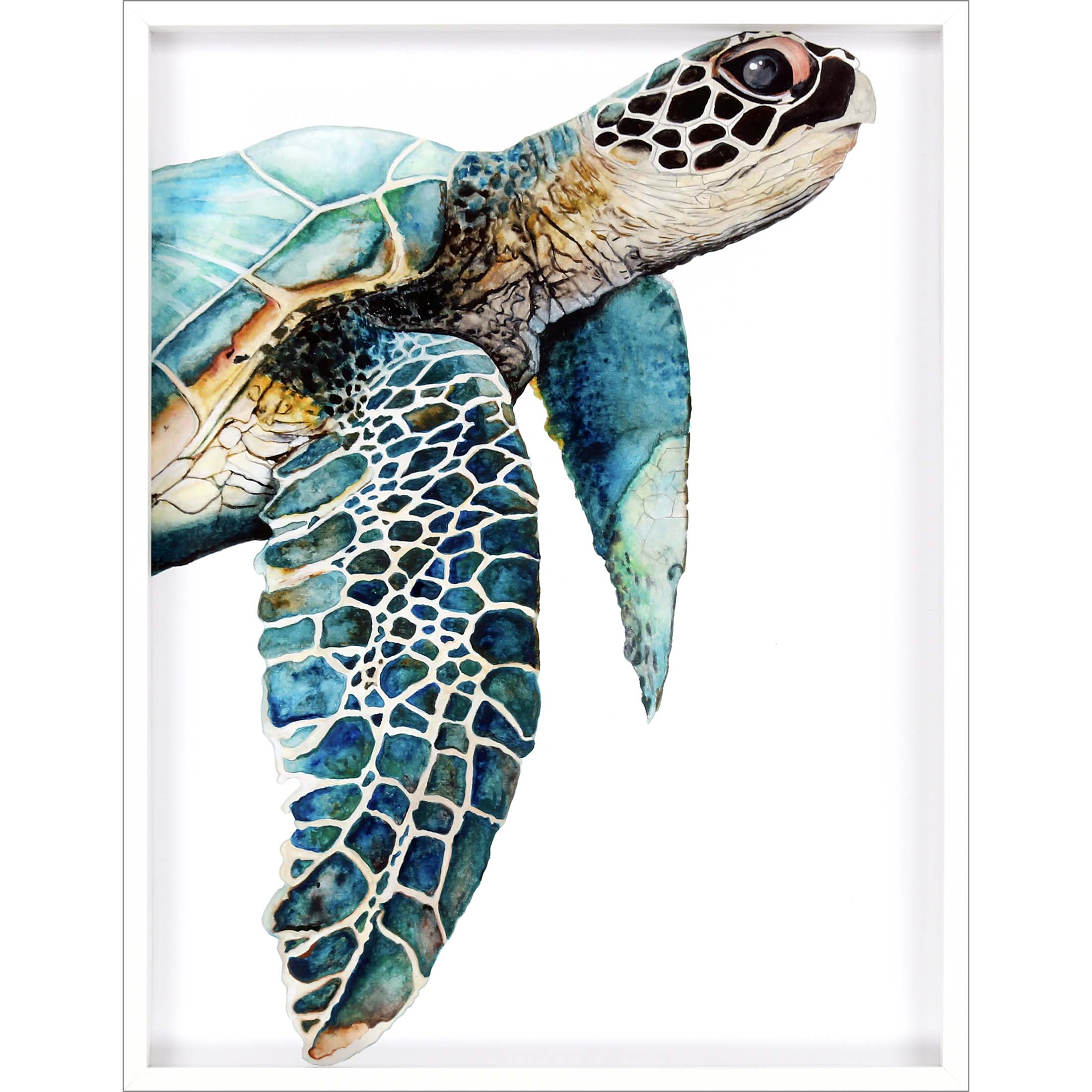Great Sea Turtle in White Shadowbox Framing | Caron's Beach House