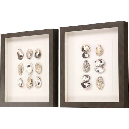 Oyster Sea Shell Shadow Box Series - Set of Two | Caron's Beach House