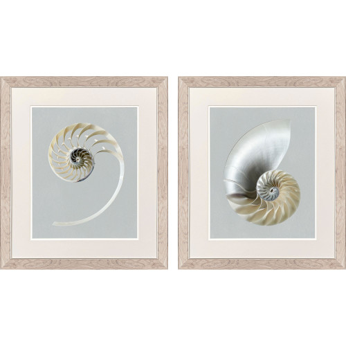 Elegant Neutral Pearl Nautilus Shell Prints I - Coastal Glamour in Soft ...