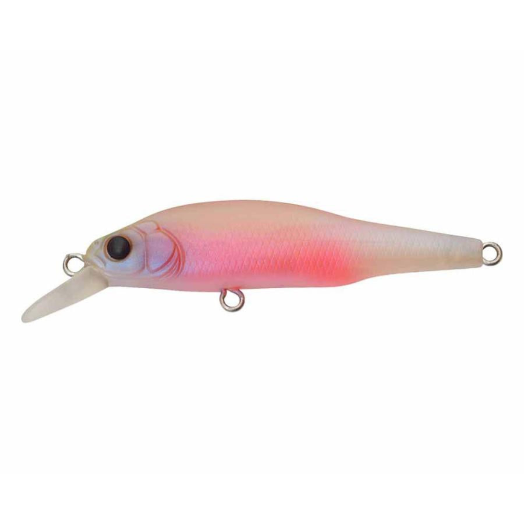BFS Fishing Gear & Tackle | Bait Finesse System Lures, Rods & Reels ...