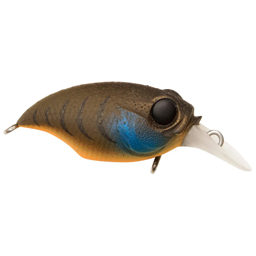 BFS Fishing Gear & Tackle | Bait Finesse System Lures, Rods & Reels ...