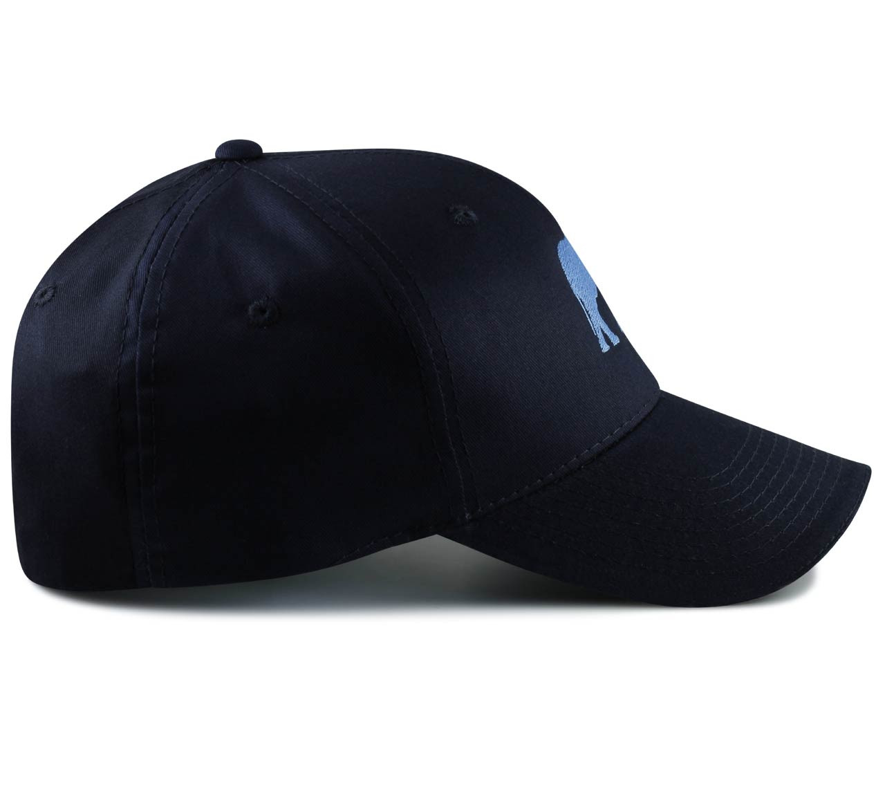 American Revolution Extra Large Baseball Cap
