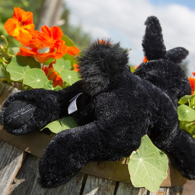 Black Rabbit Plush Toy - McMenamins Online Shop