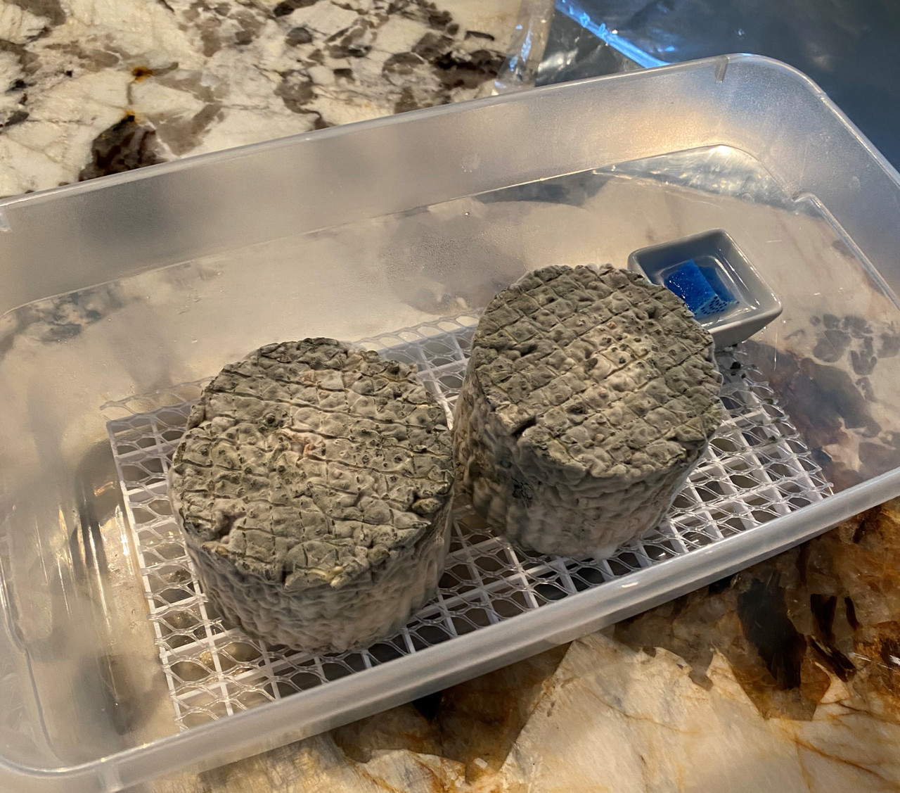 Wholesale Blue Cheese Making Culture & Mold - Blue Cheese Culture ...