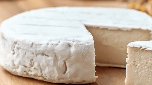 Geotrichum Candidum - Vegan | The Cheesemaker