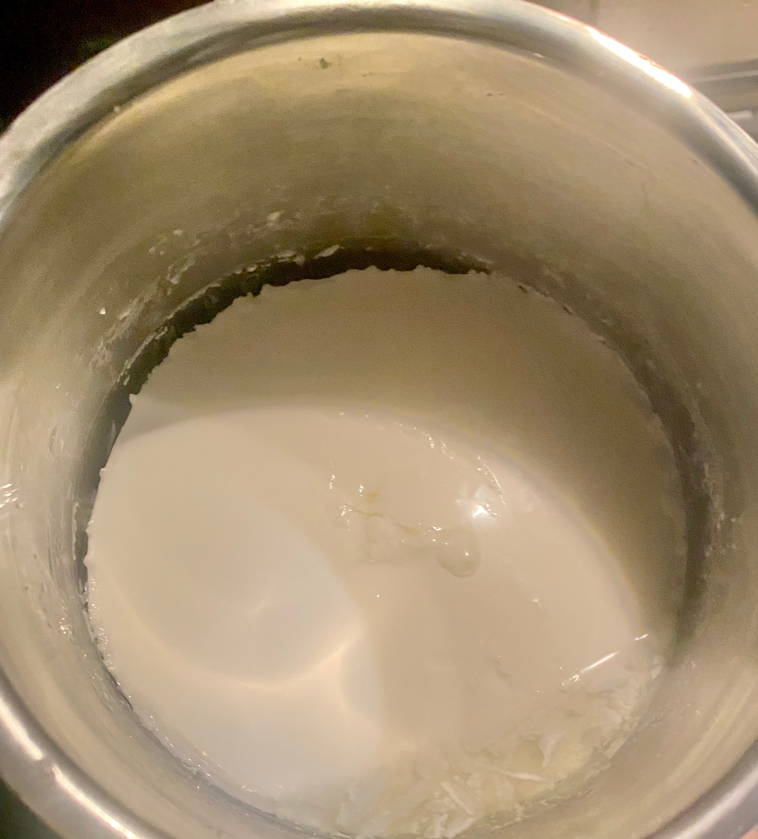 theMilkman™ Stainless Steel Yogurt Incubator | The Cheesemaker