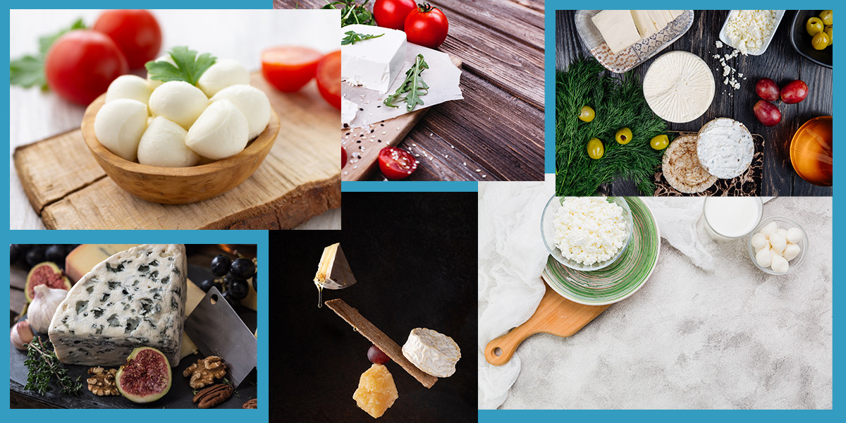 Cheese Terms Explained - TheCheeseMaker.com