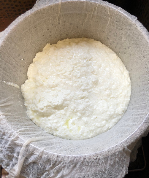 Deluxe Mozzarella & Ricotta Kit - Mozzarella And Ricotta Cheese Making ...