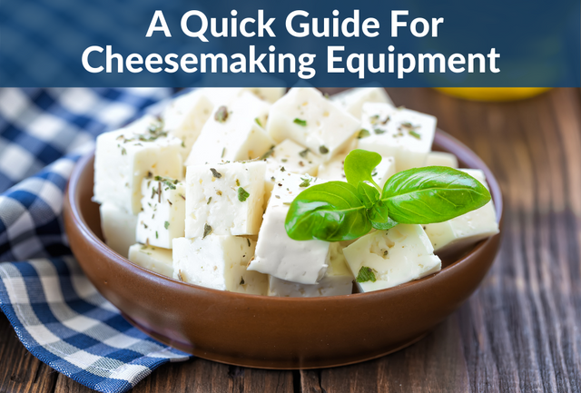 Homemade Cheese Making Equipment: A Quick & Thorough Guide ...