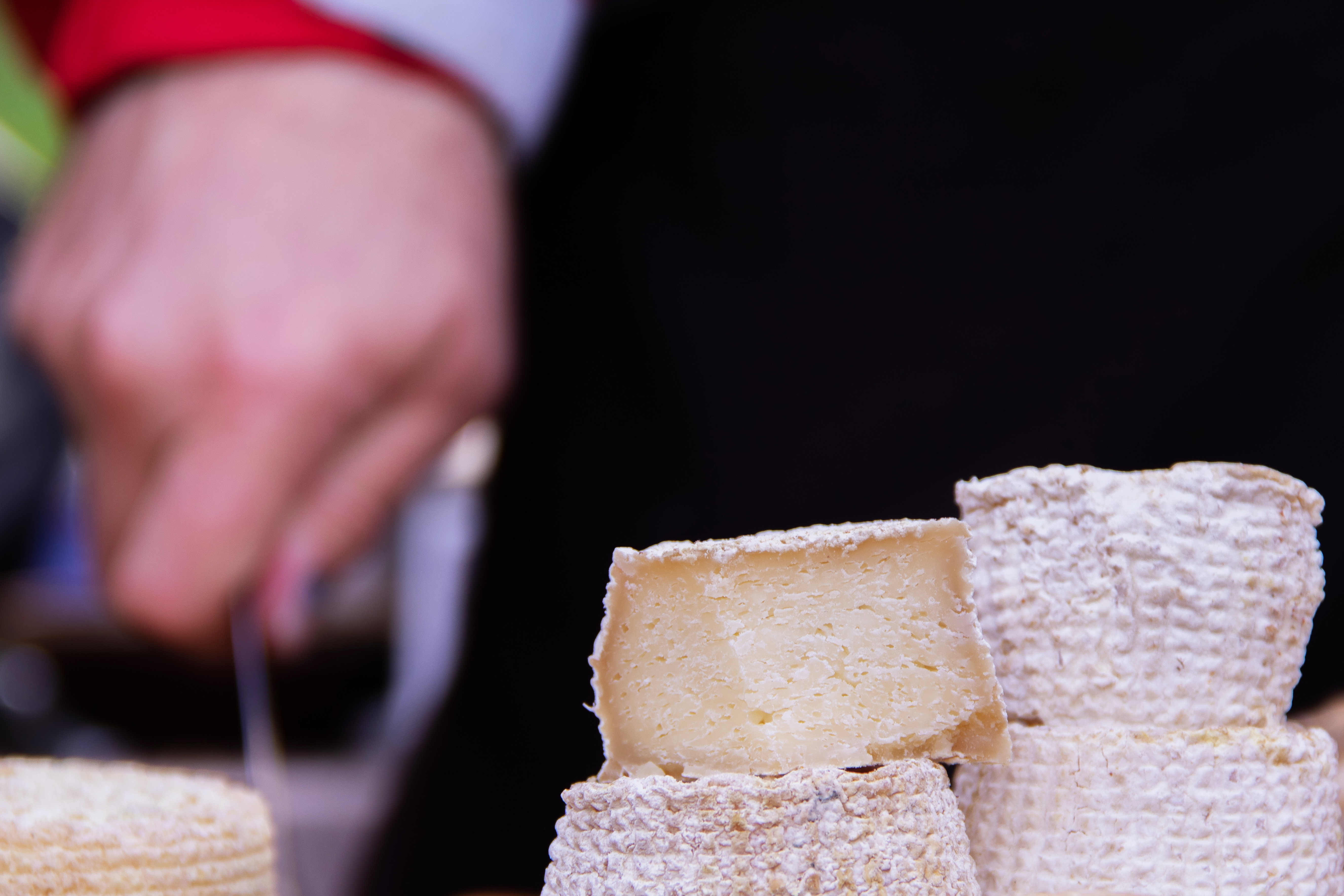 5 Reasons To Start DIY Cheesemaking - TheCheeseMaker.com