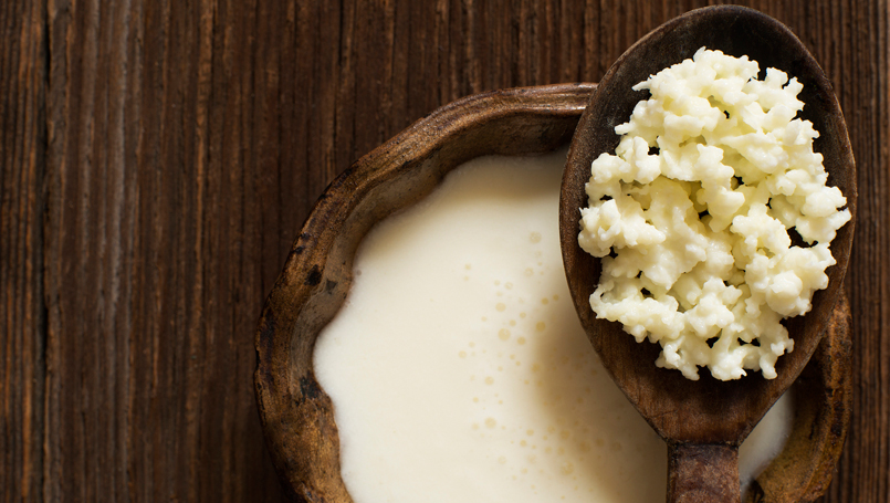 How to Make Kefir - TheCheeseMaker.com