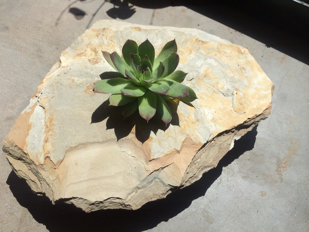 Pacific Floral Design - Flower Delivery in Santa Fe New Mexico