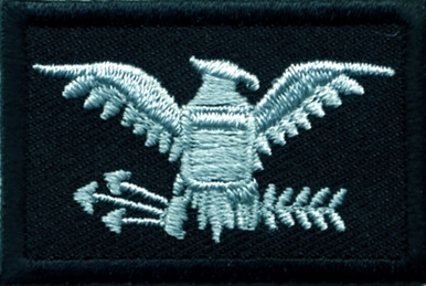 Colonel, Embroidered Rank, Pair, Silver/Black, 1-3/4x1-1/8" - Emblem ...